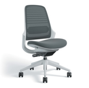 Steelcase Gesture vs. Series 1: What is the Best Office Task Chair ...